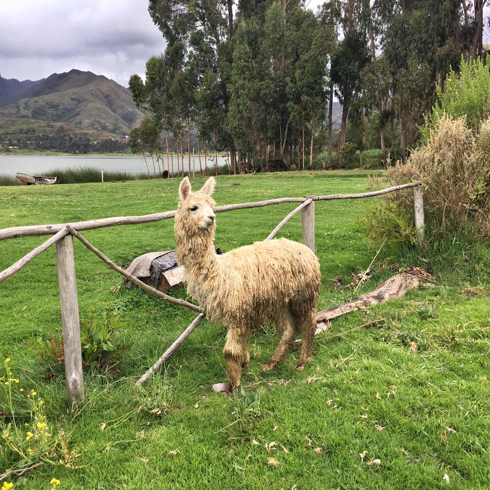 Peru – Via Ferrata + Sky Lodge – Onde é que tá o Zé